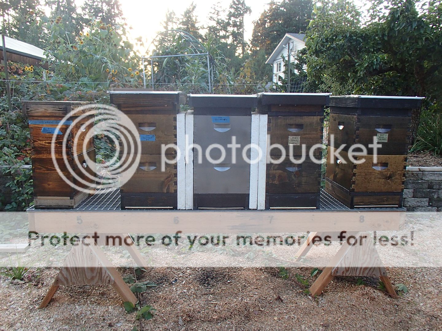 who has wrapped hives ? | Beesource Beekeeping Forums